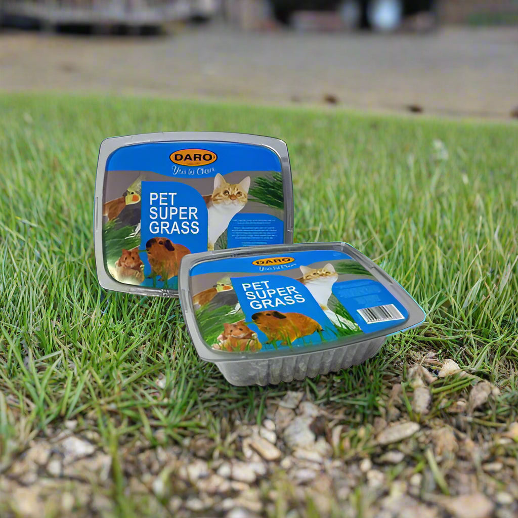 Daro Pet Super Grass – Coastal Pets