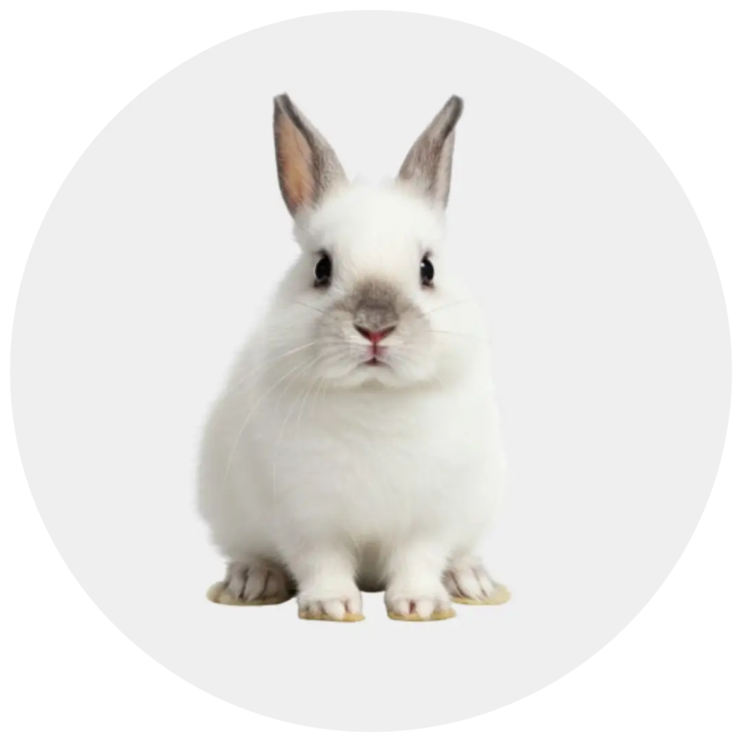 SMALL ANIMAL PRODUCTS – Coastal Pets