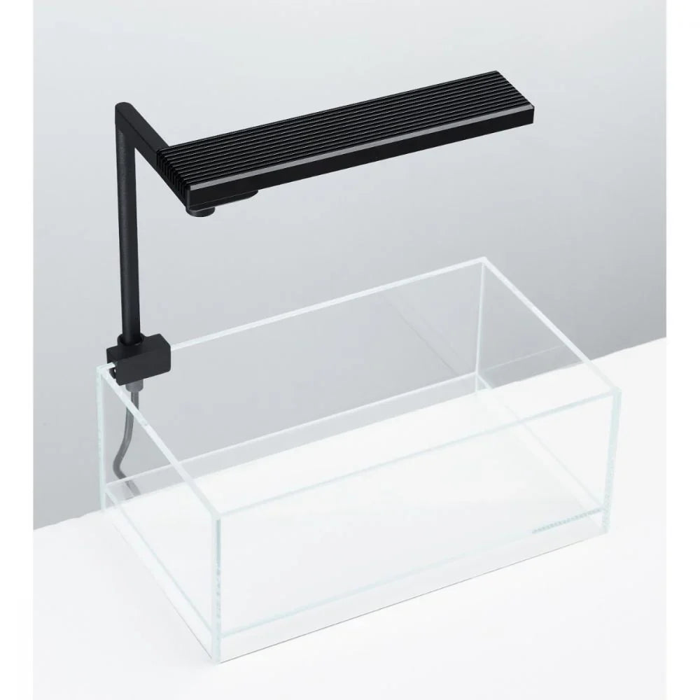 LIGHTING – Coastal Pets