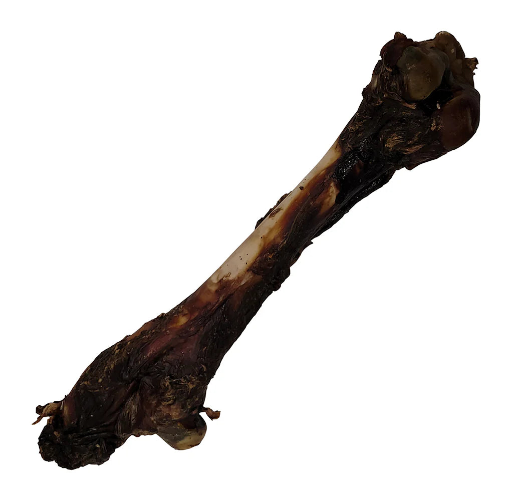 Craving Nature Femur Bone Small Singles – Coastal Pets