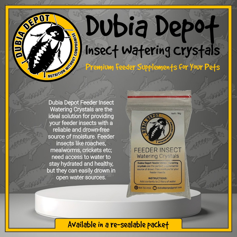 Dubia Depot Feeder Insect Watering Crystals – Coastal Pets
